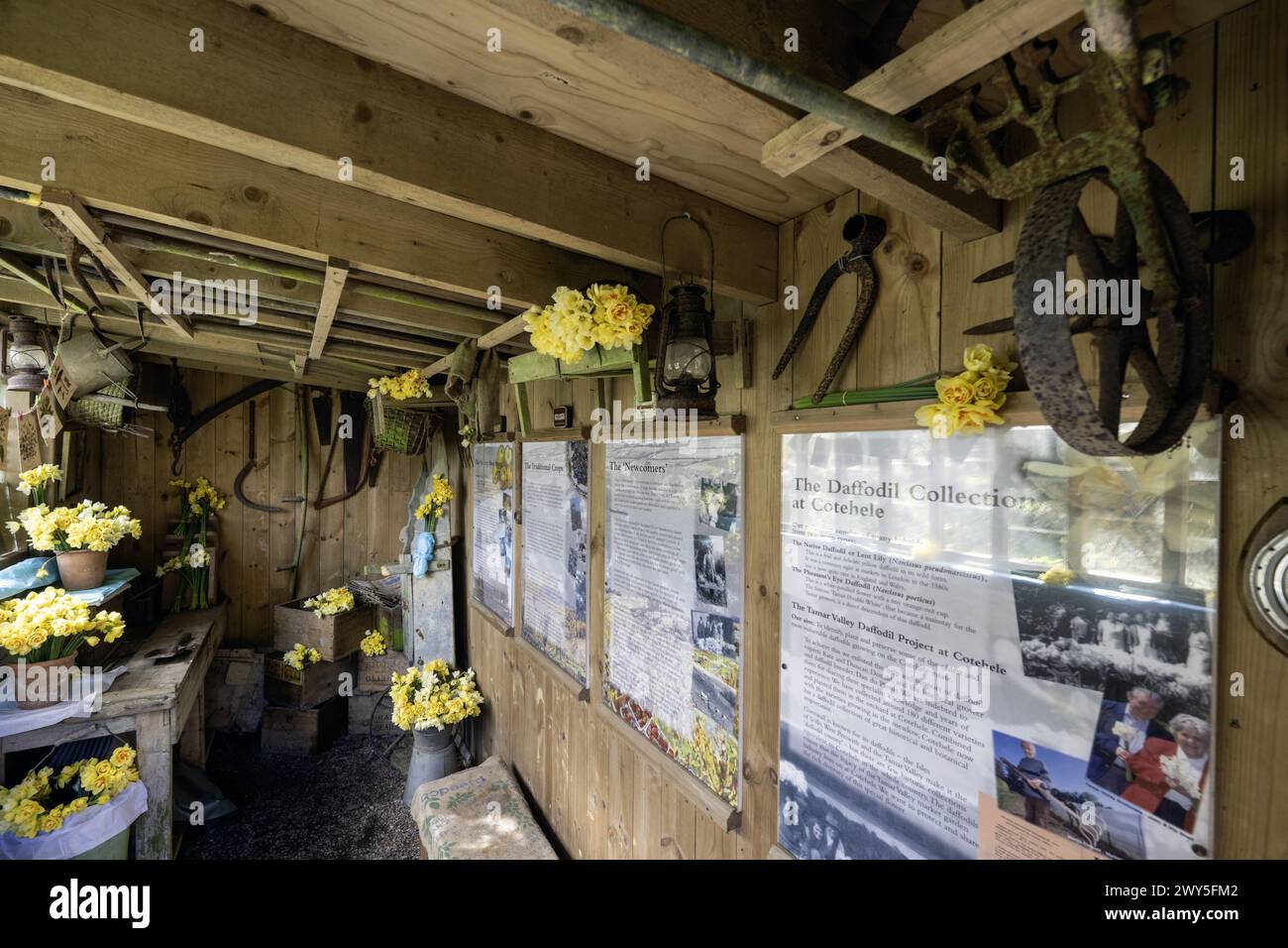 Cotehele House, Calstock, Cornwall, England, UK - interior view of the ...