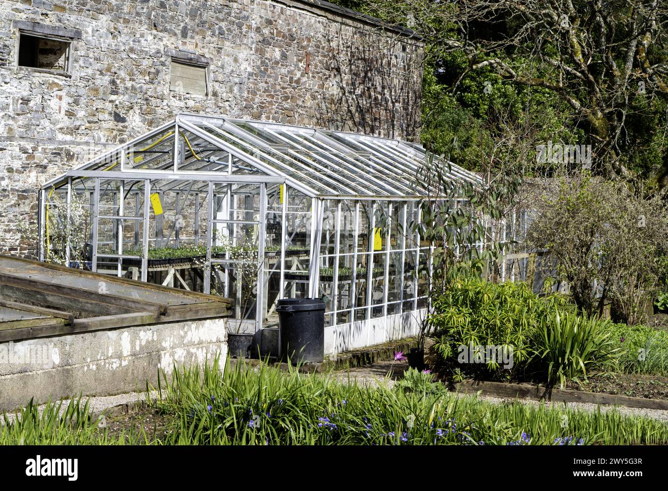 Cotehele House, Calstock, Cornwall, England, UK Stock Photo - Alamy