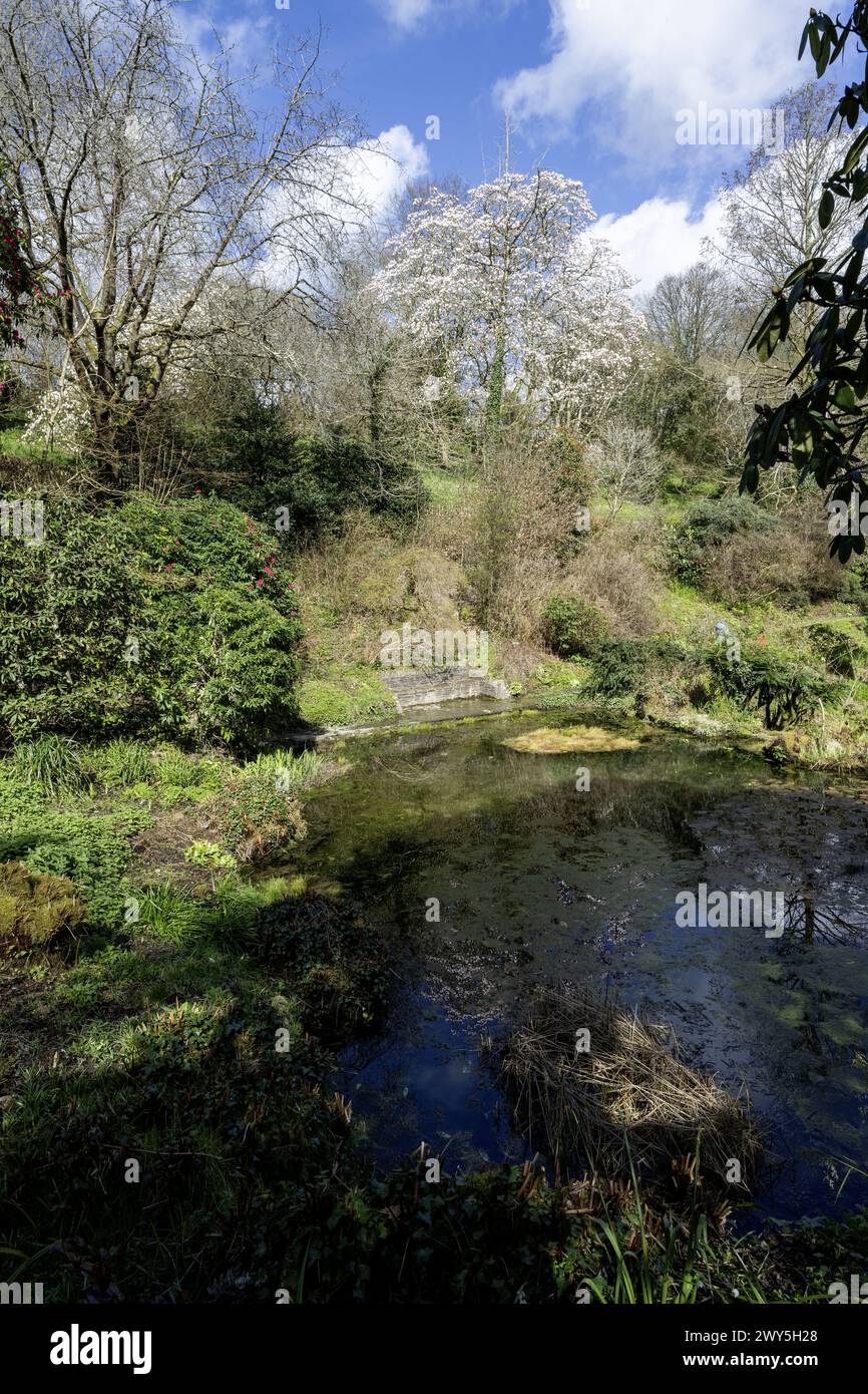 Cotehele house saltash cornwall hi-res stock photography and images - Alamy