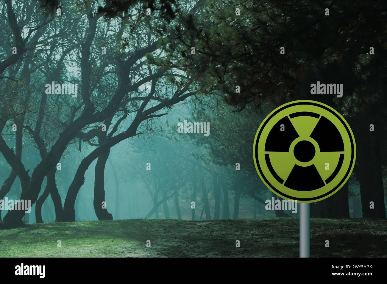 Radioactive pollution. Yellow warning sign with hazard symbol in forest ...