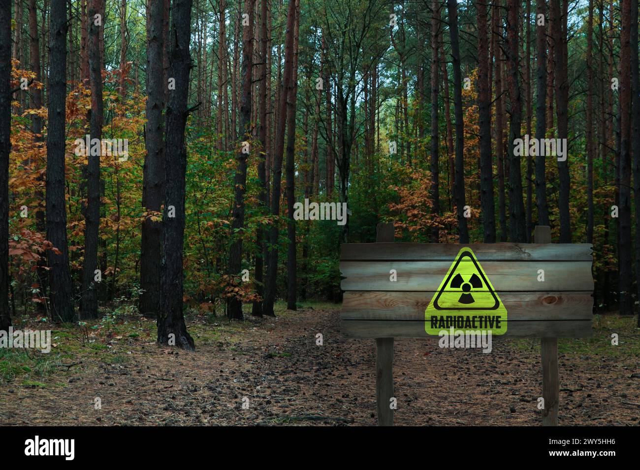 Radioactive pollution. Yellow warning sign with hazard symbol in forest ...