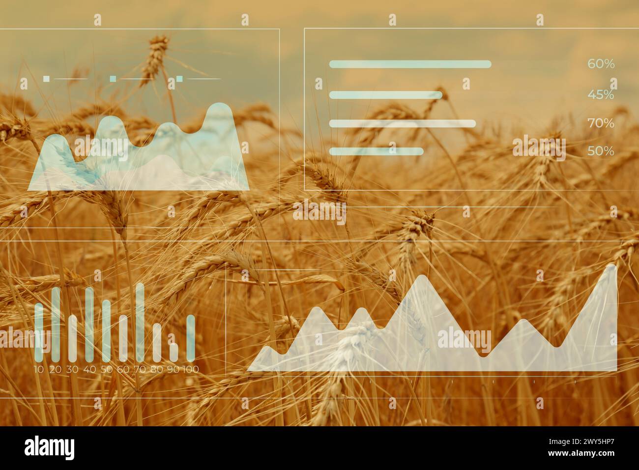 Grain prices. Wheat field and graphs, double exposure Stock Photo - Alamy