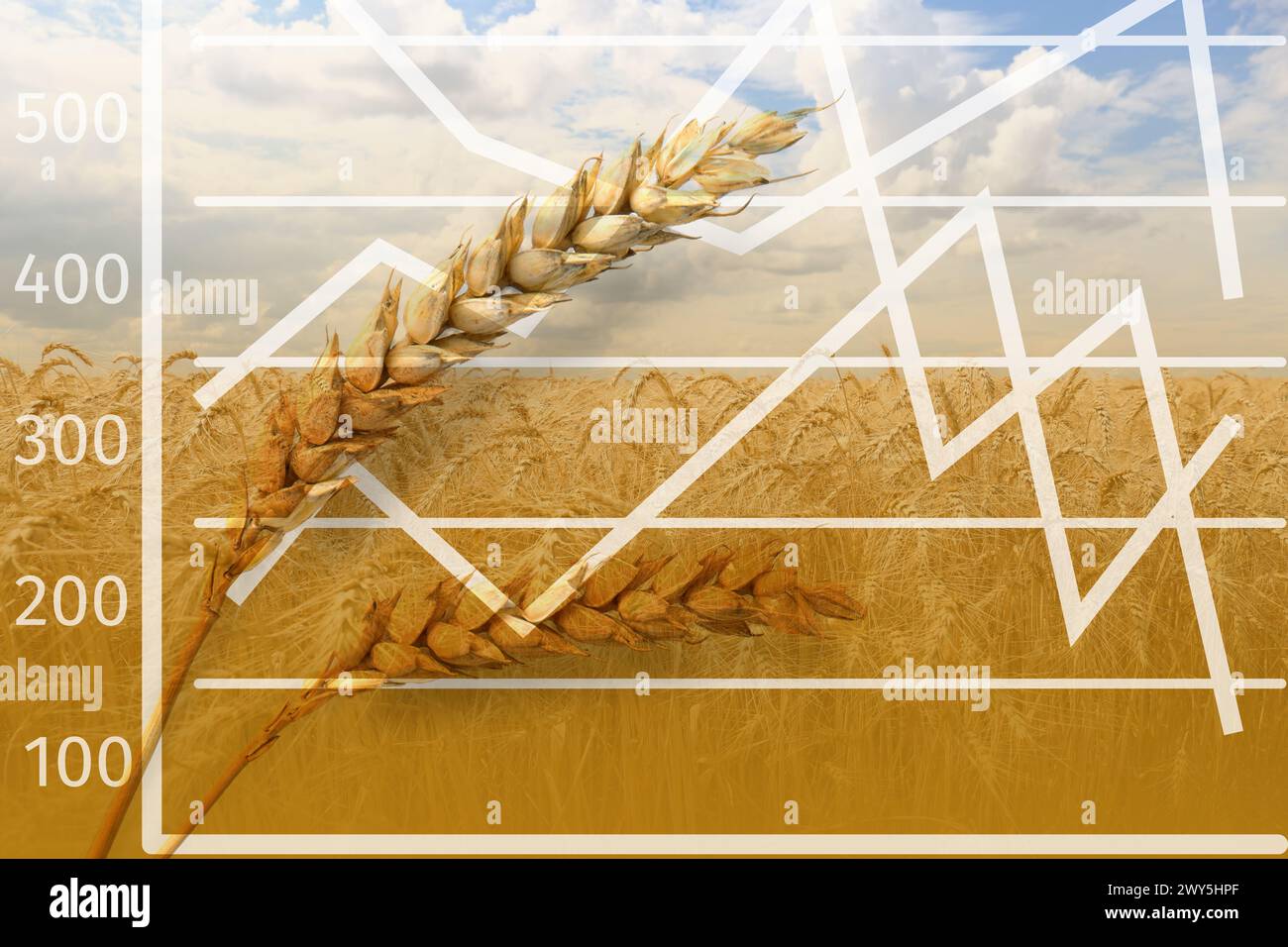 Grain prices. Wheat field and graph, double exposure Stock Photo - Alamy