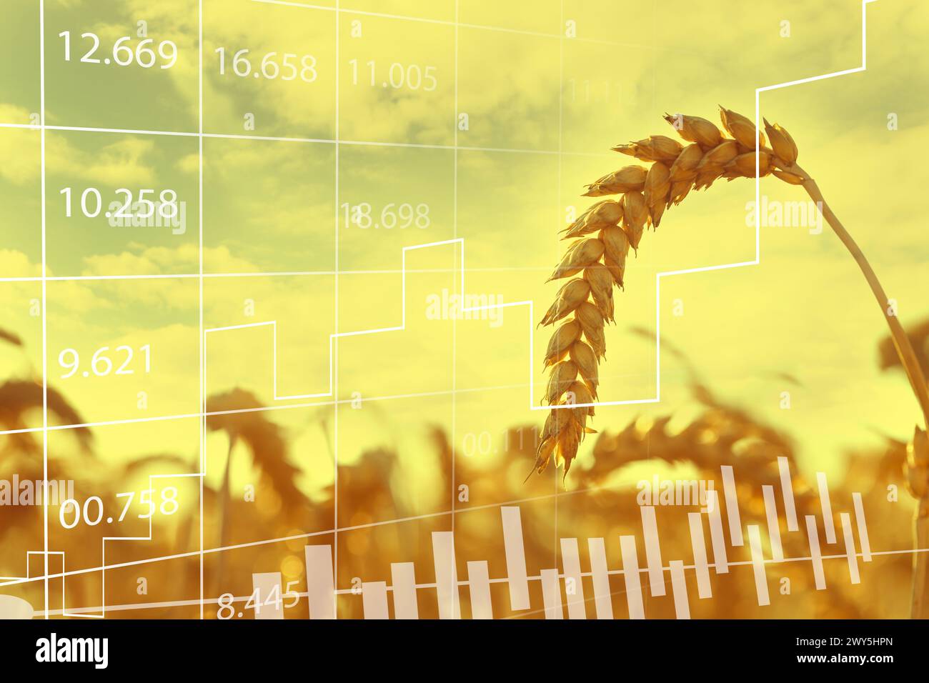 Grain prices. Wheat field and graphs, double exposure Stock Photo - Alamy