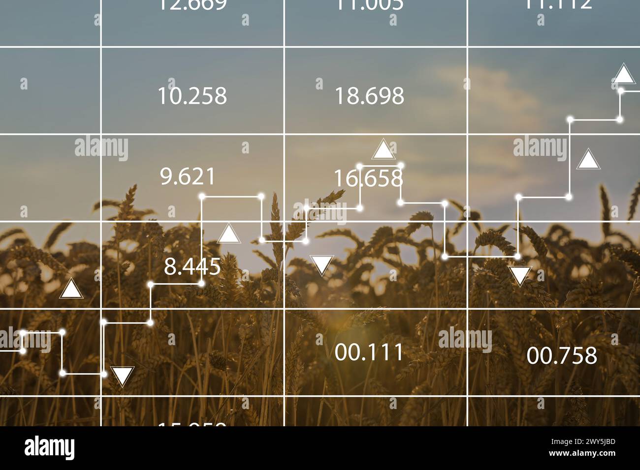 Grain prices. Wheat field and graph, double exposure Stock Photo - Alamy