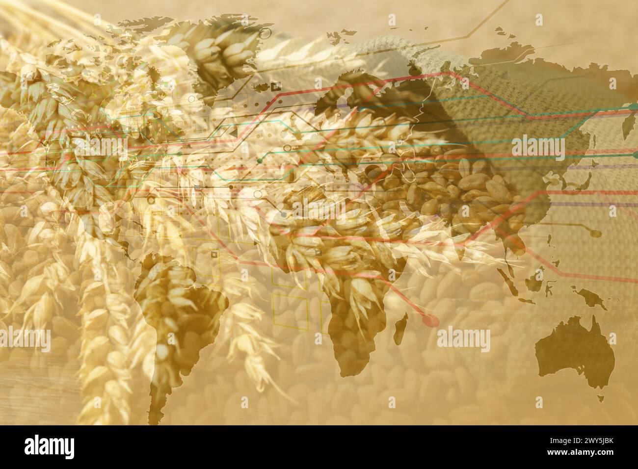 Grain prices. Ears of wheat, seeds, world map and graph, multiple ...