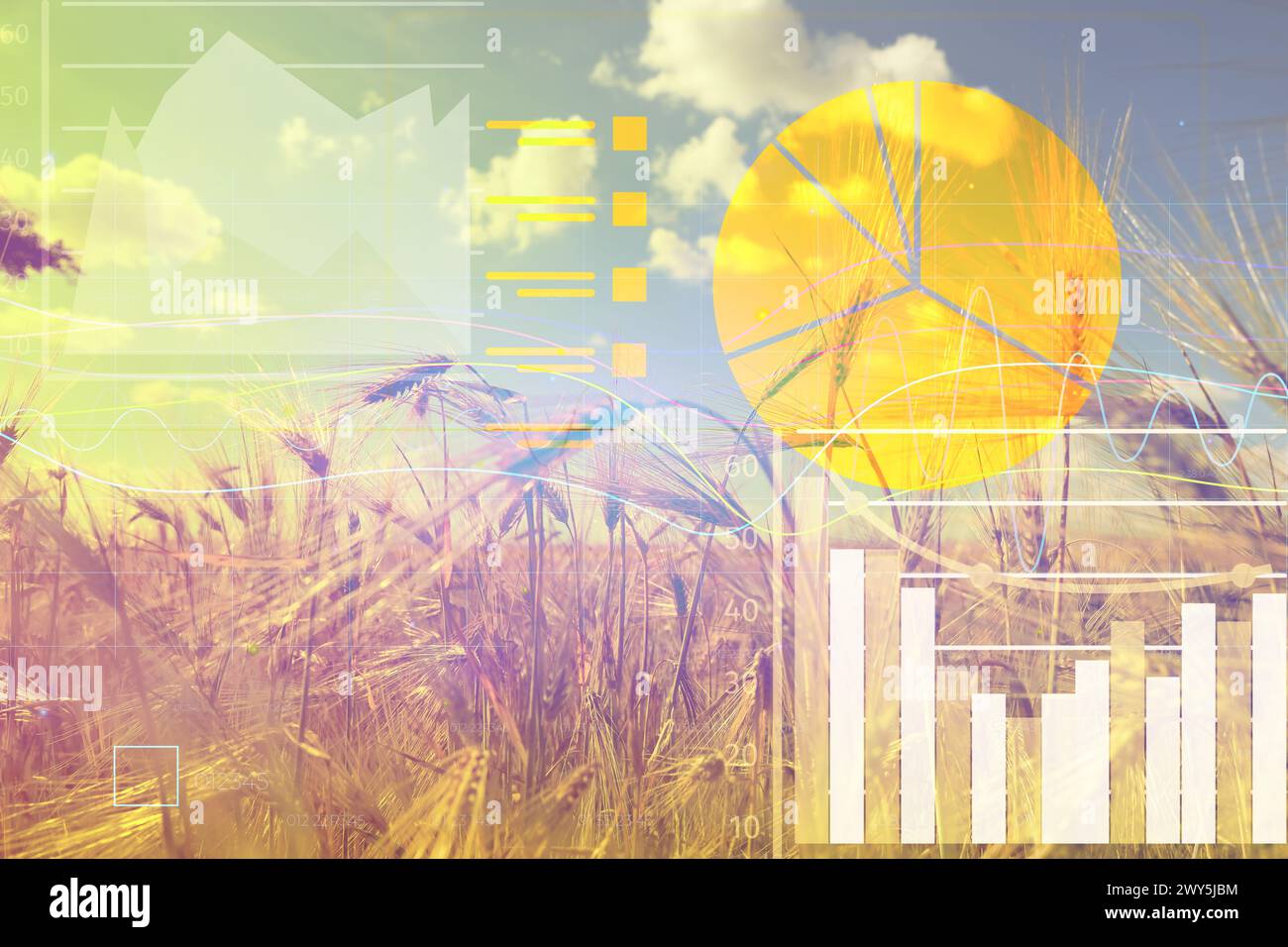 Grain prices. Wheat field and graphs, double exposure Stock Photo - Alamy