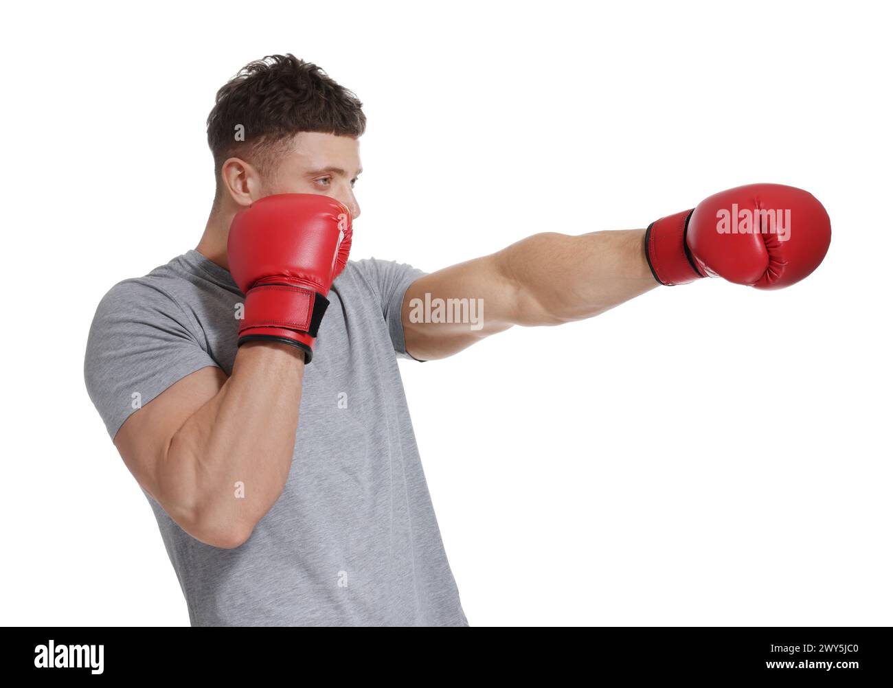 Man in boxing gloves fighting on white background Stock Photo - Alamy