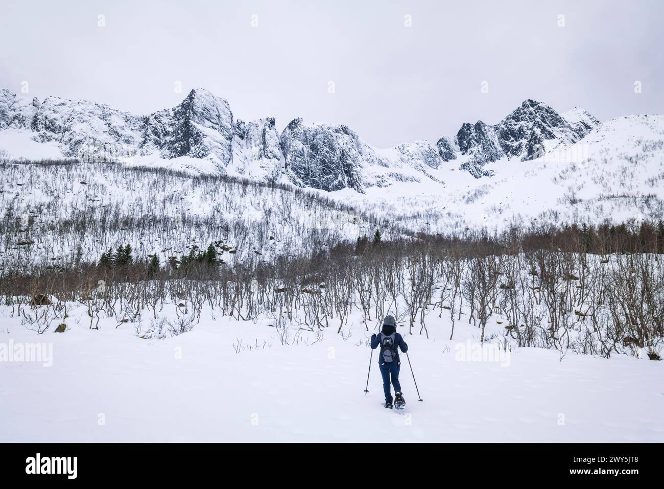 Female snowshoeing in winter hi-res stock photography and images - Alamy