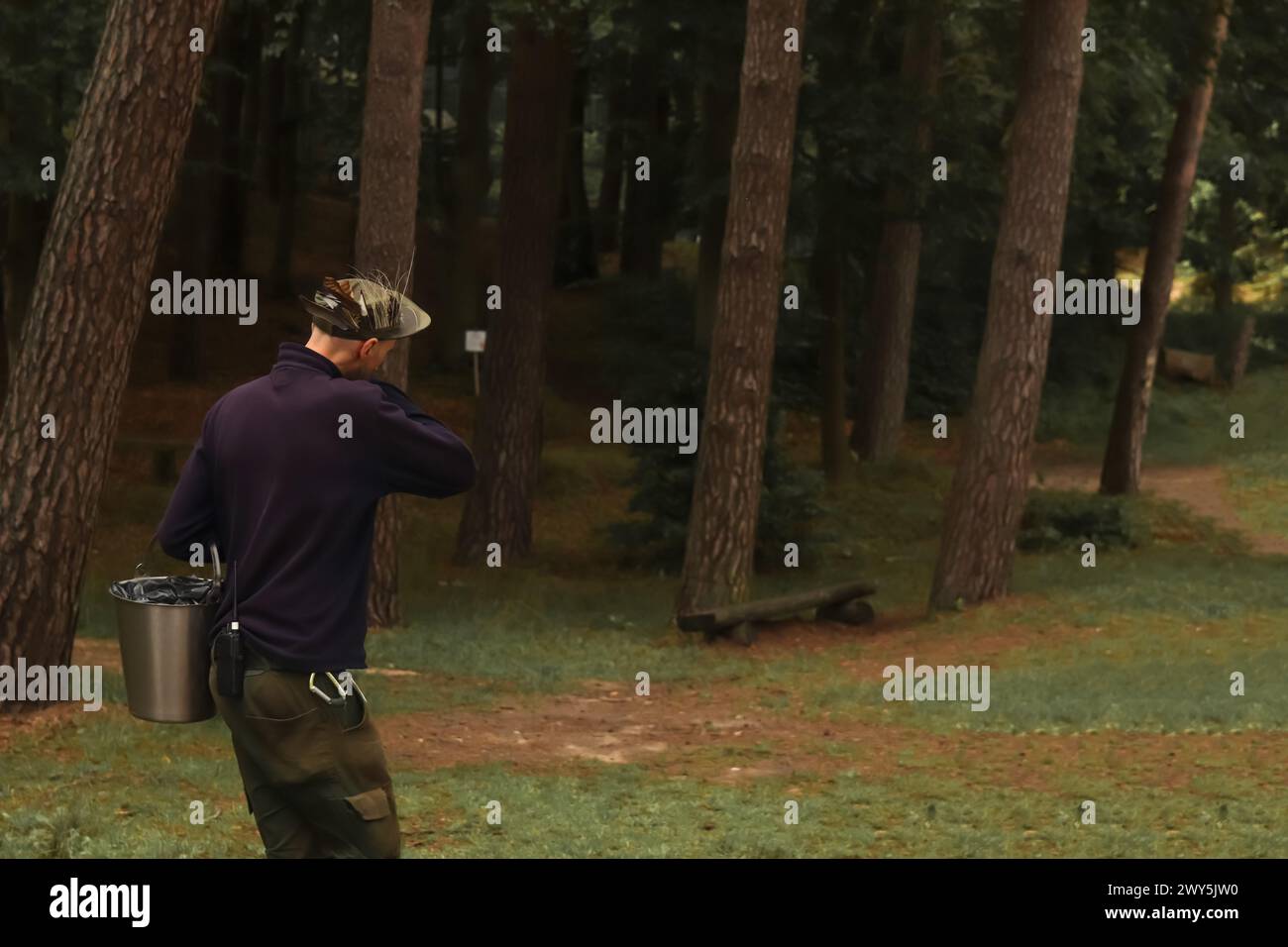 Forester collecting samples in the forest, holding a bucket, showcasing ...