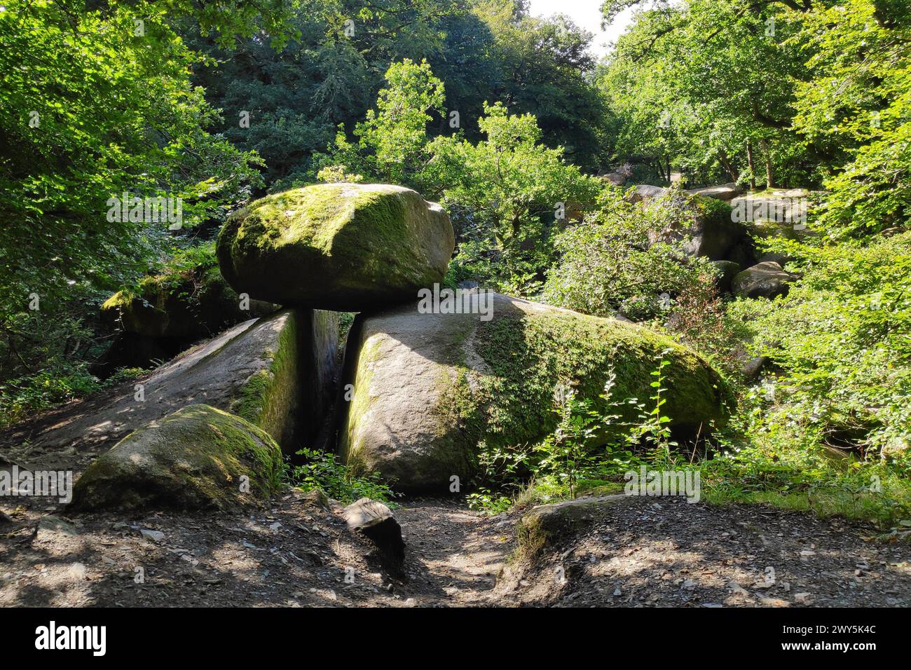 Gate-like arragement of boulders in the blockfield of the forest of ...