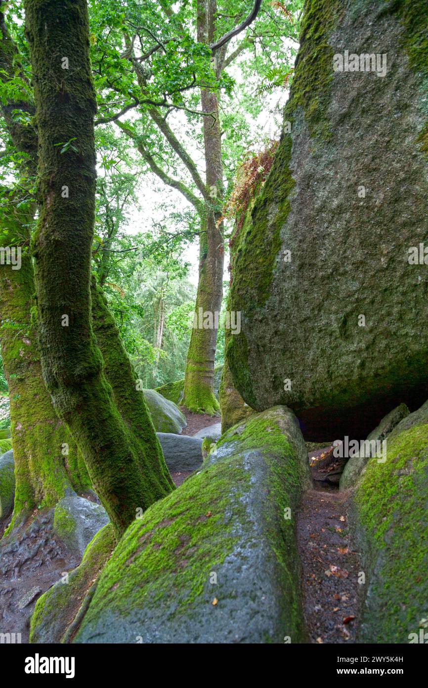 Forest of Huelgoat in Brittany famous for its blockfield around the ...