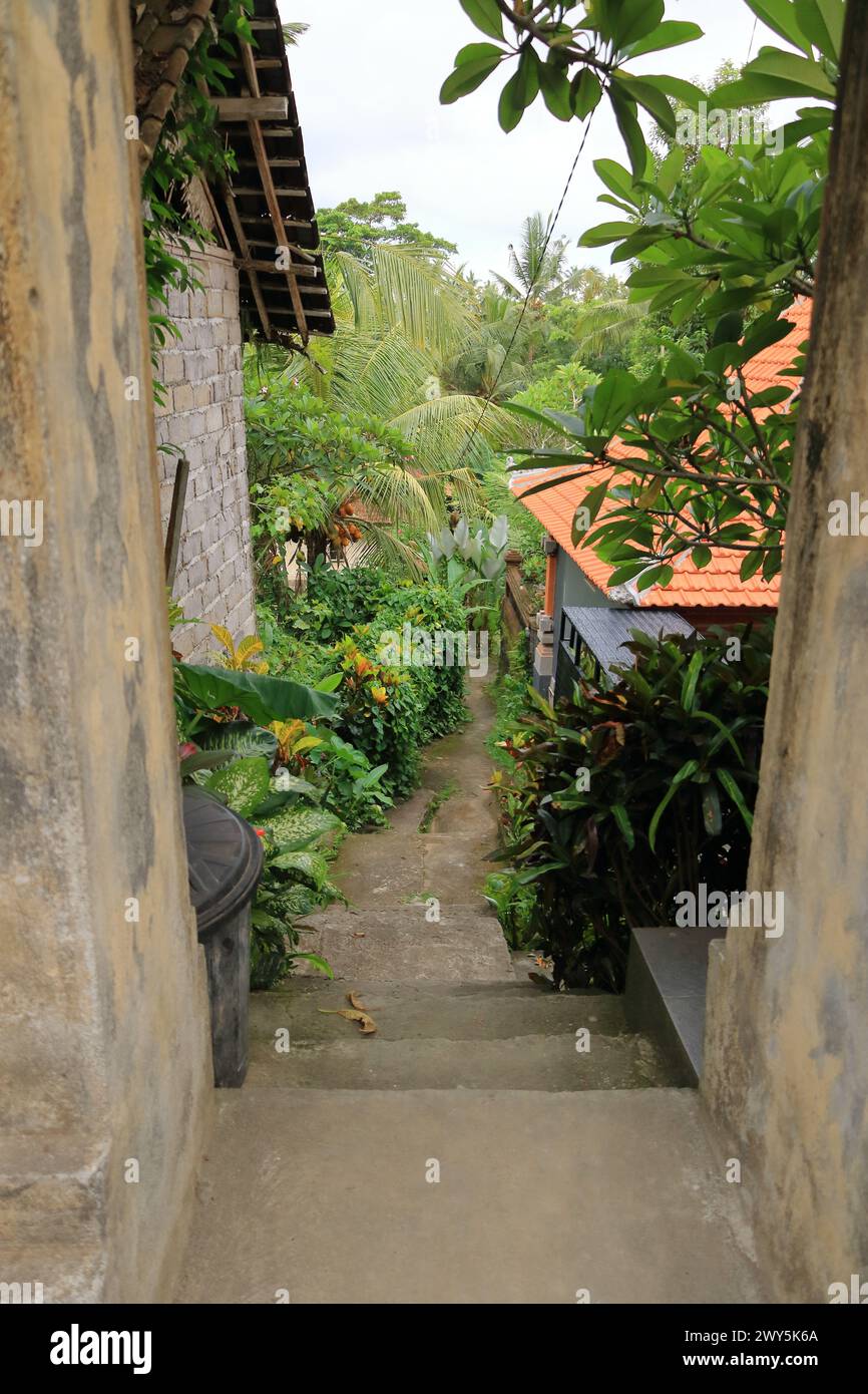 Ubud, Bali in Indonesia - January 31 2024: Cars and motobikes drive on ...
