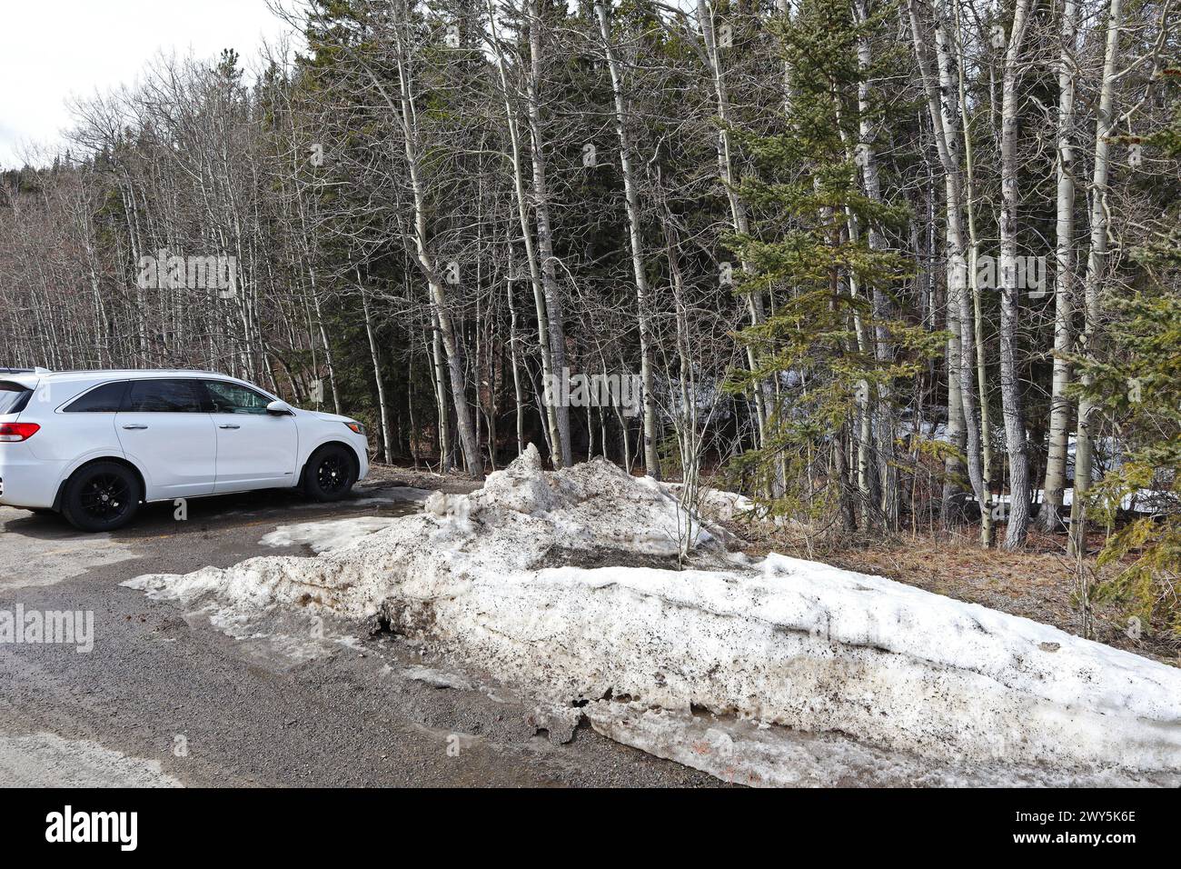 Diagonal car parking hi-res stock photography and images - Alamy