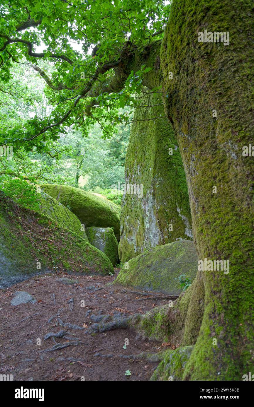 Forest of Huelgoat in Brittany famous for its blockfield around the ...