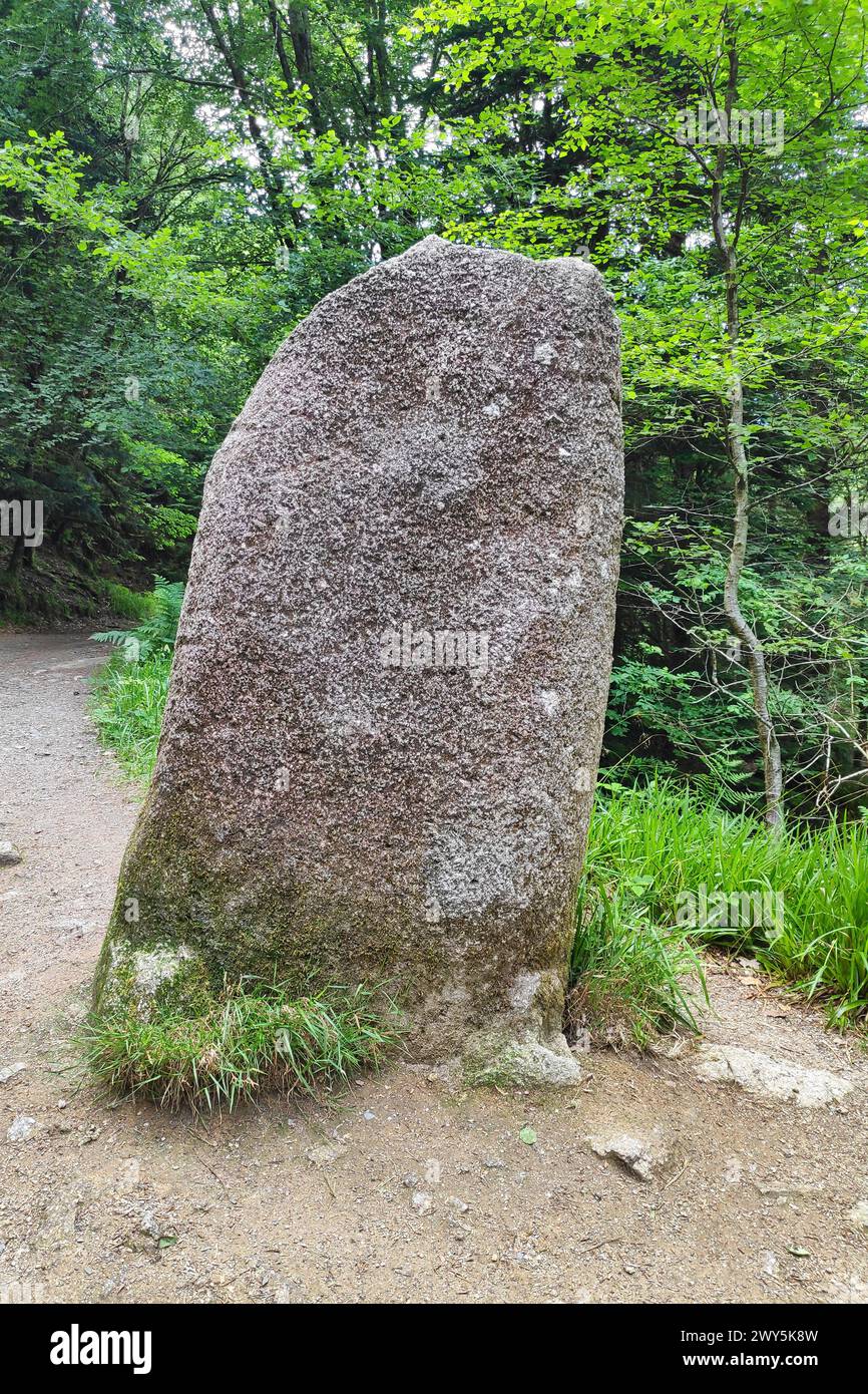 The Menhir de la Mare aux sangliers (Menhir of the wild boar pond) in ...