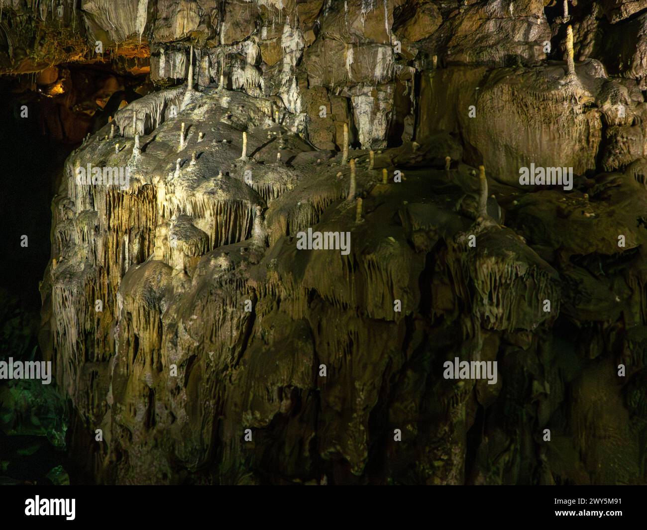 A cluster of small stalactites and stalagmites in Poole's Cavern ...