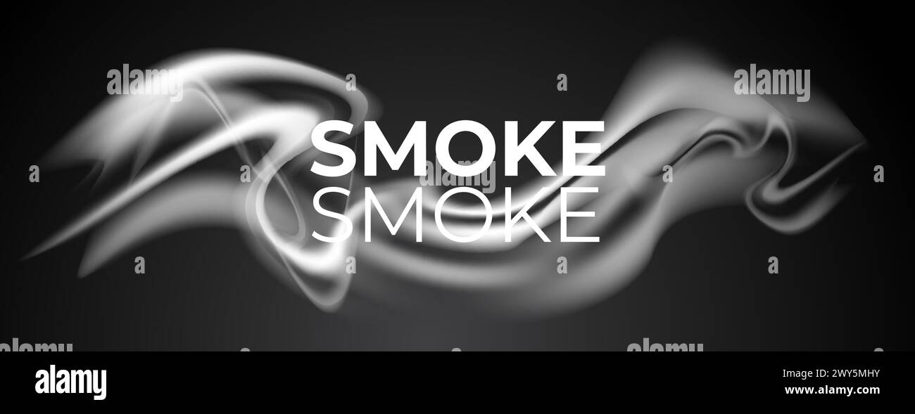 horizontal black and white smoke banner background.vector illustration ...