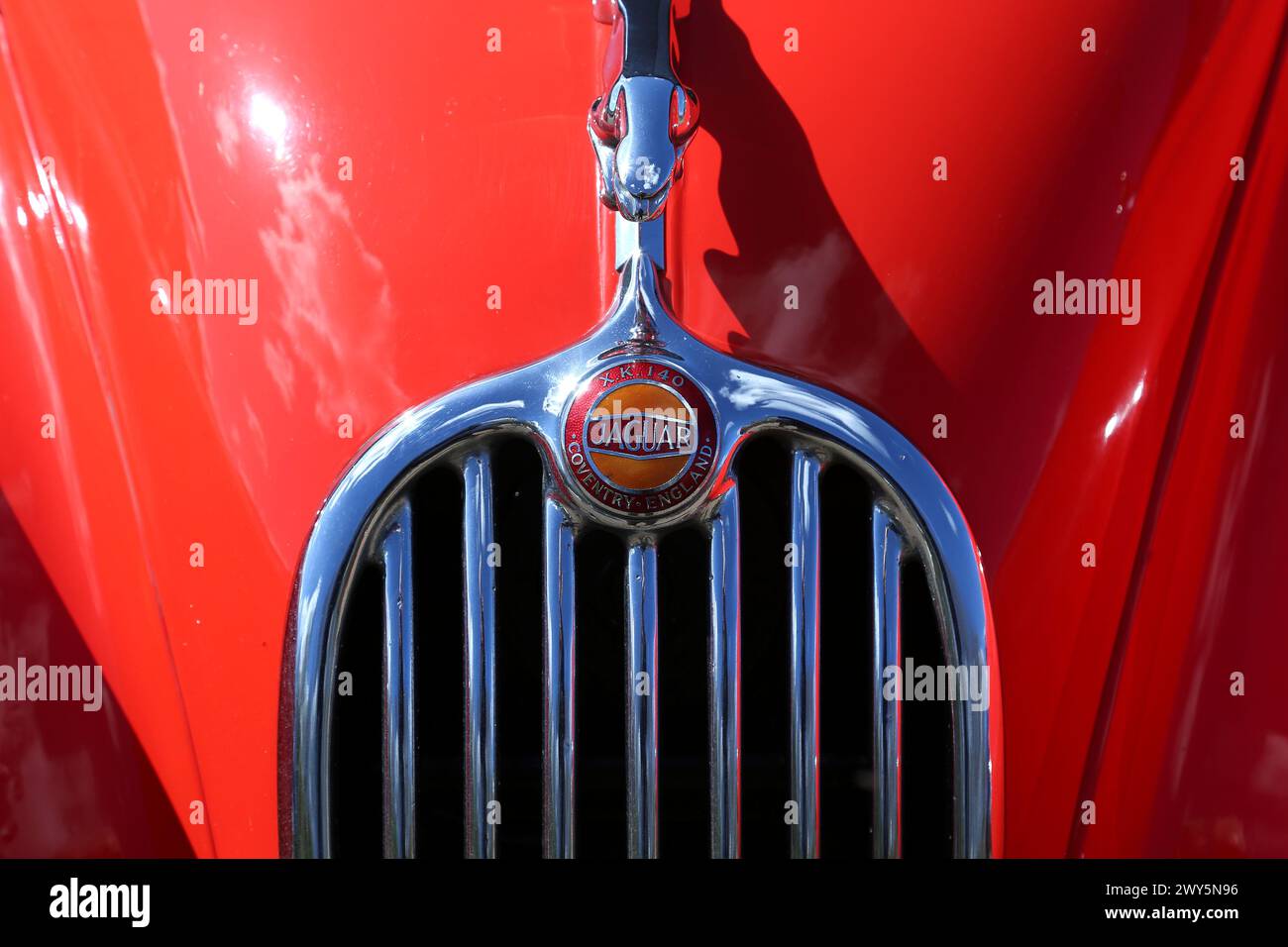 Jaguar XK140 3.4 (1955) bonnet badge, Easter Gathering (pre-1994 cars ...