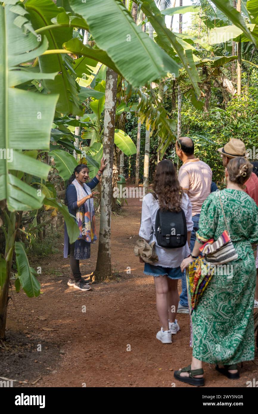 Spice farm goa india hi-res stock photography and images - Alamy