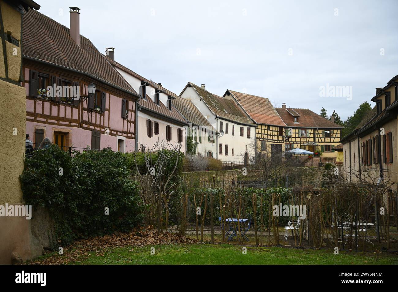 Rural landscape with scenic view of typical Alsatian half-timbered ...