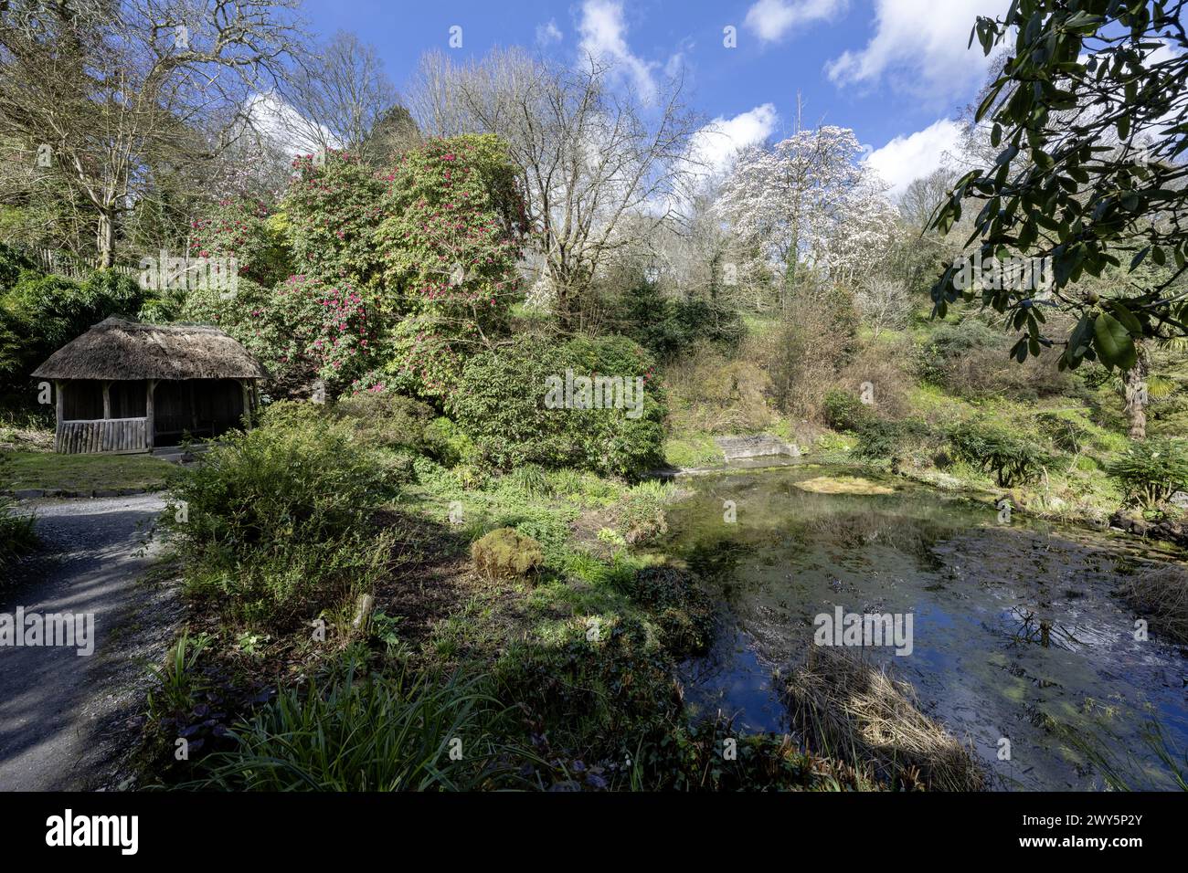 Cotehele house and gardens hi-res stock photography and images - Alamy