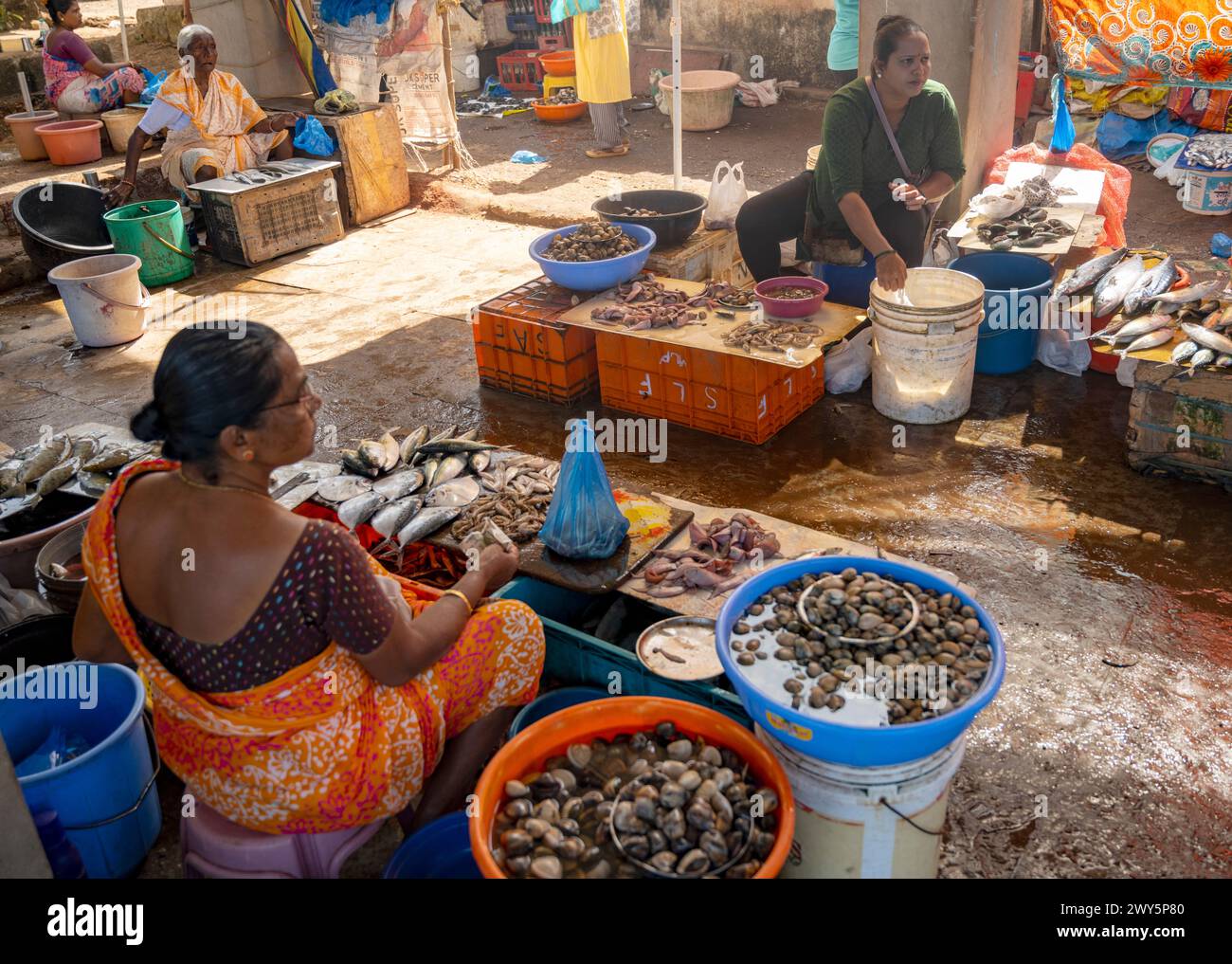 Goa siolim river hi-res stock photography and images - Alamy
