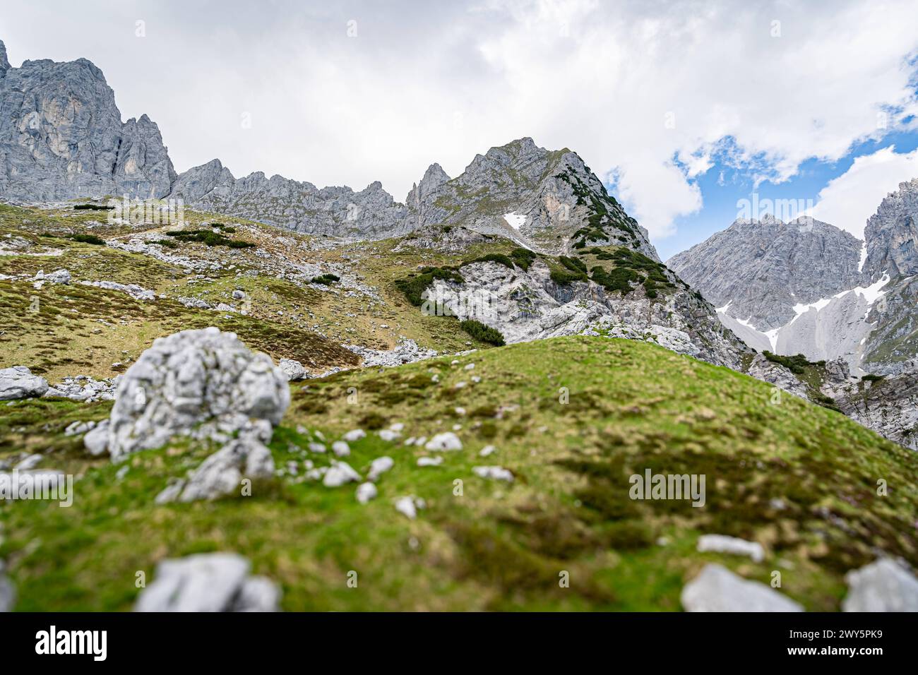 Baumgrenze landschaft hi-res stock photography and images - Alamy