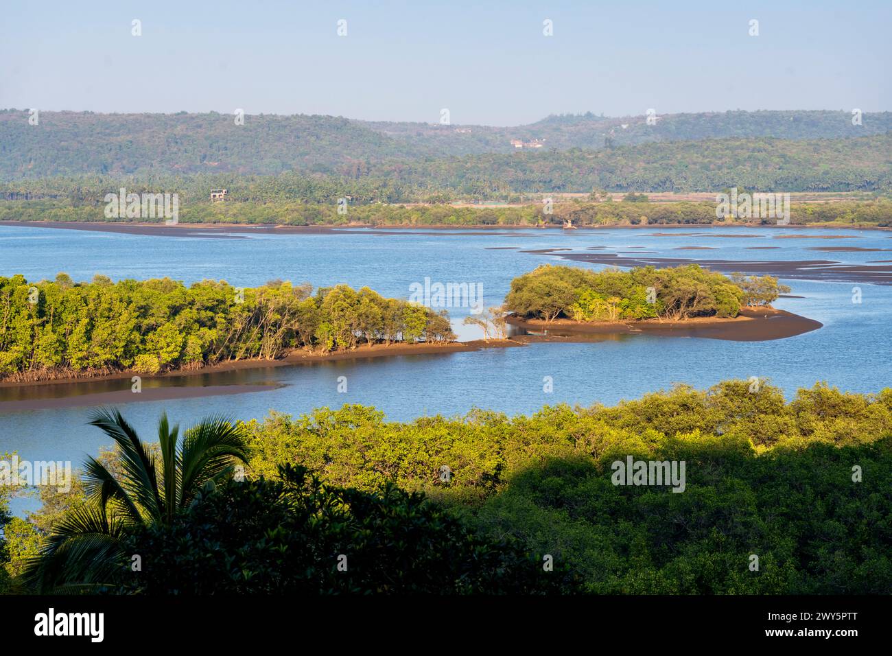 Indien, Goa, Arambol, Querim, Mündungsgebiet des Terekhol River Stock ...