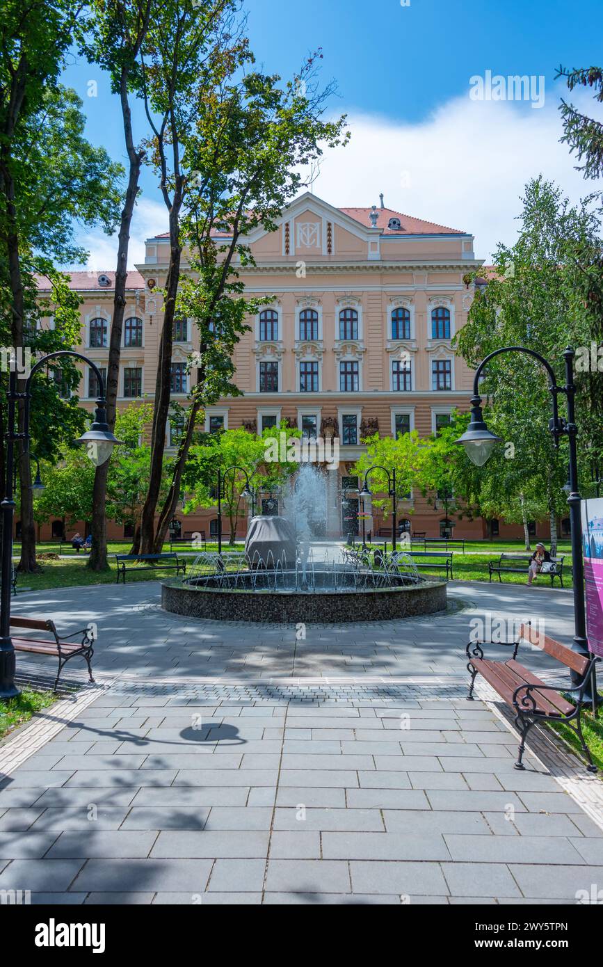 Crisurilor country museum hi-res stock photography and images - Alamy