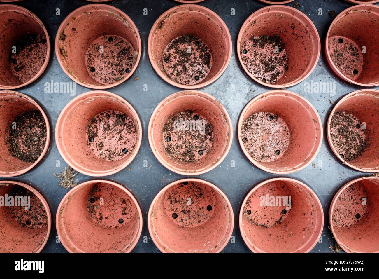 Black trays soil seedlings hi-res stock photography and images - Alamy