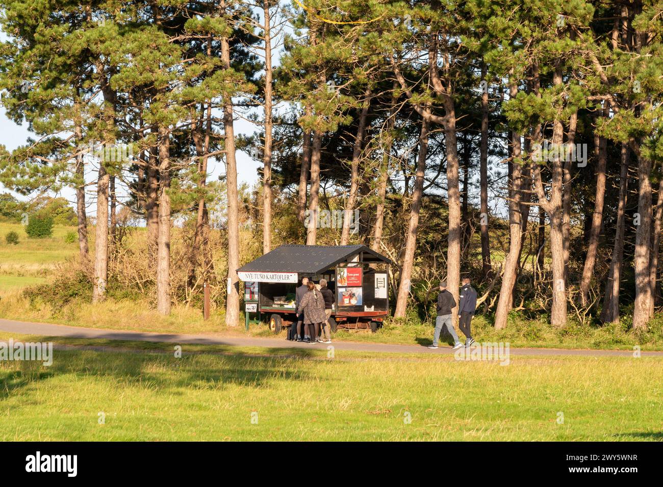 People at a stand with fresh vegetables and potatoes, roadside self ...