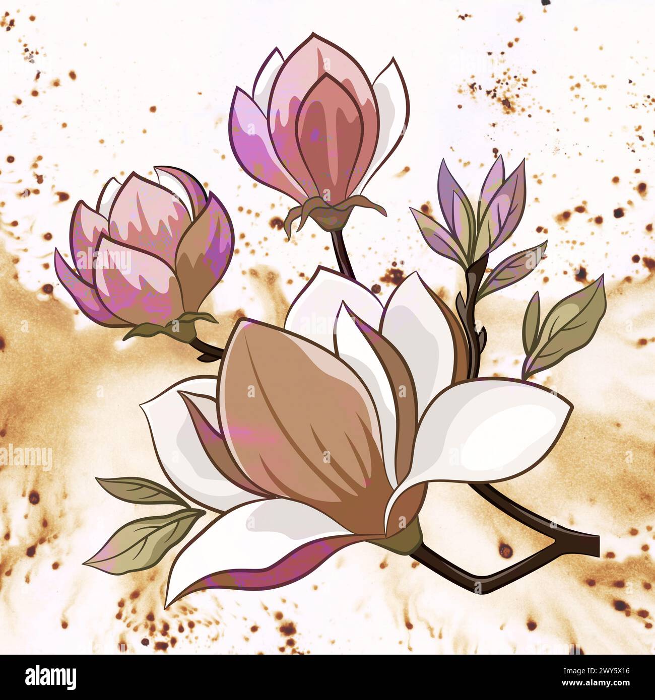 Spring Blossoming Magnolia Tree Flowers on Hand-Draw Watercolor ...