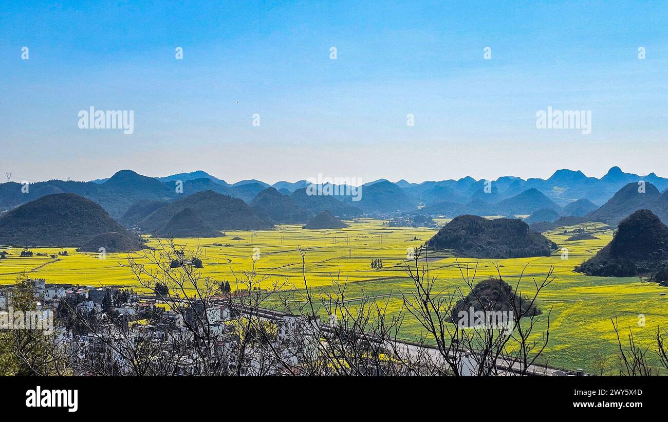 Scenic landscape with yellow flowers, hills, and dirt mounds in Loupin ...