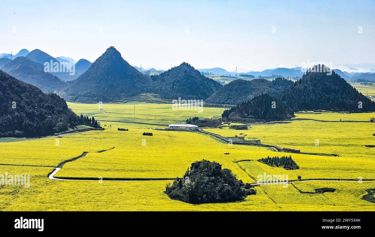 Yellow mustard fields dot the landscape in Loupin Rooster Hills, China ...