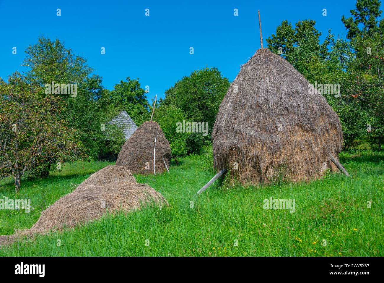 Baia Mare Village Museum in Romania Stock Photo - Alamy