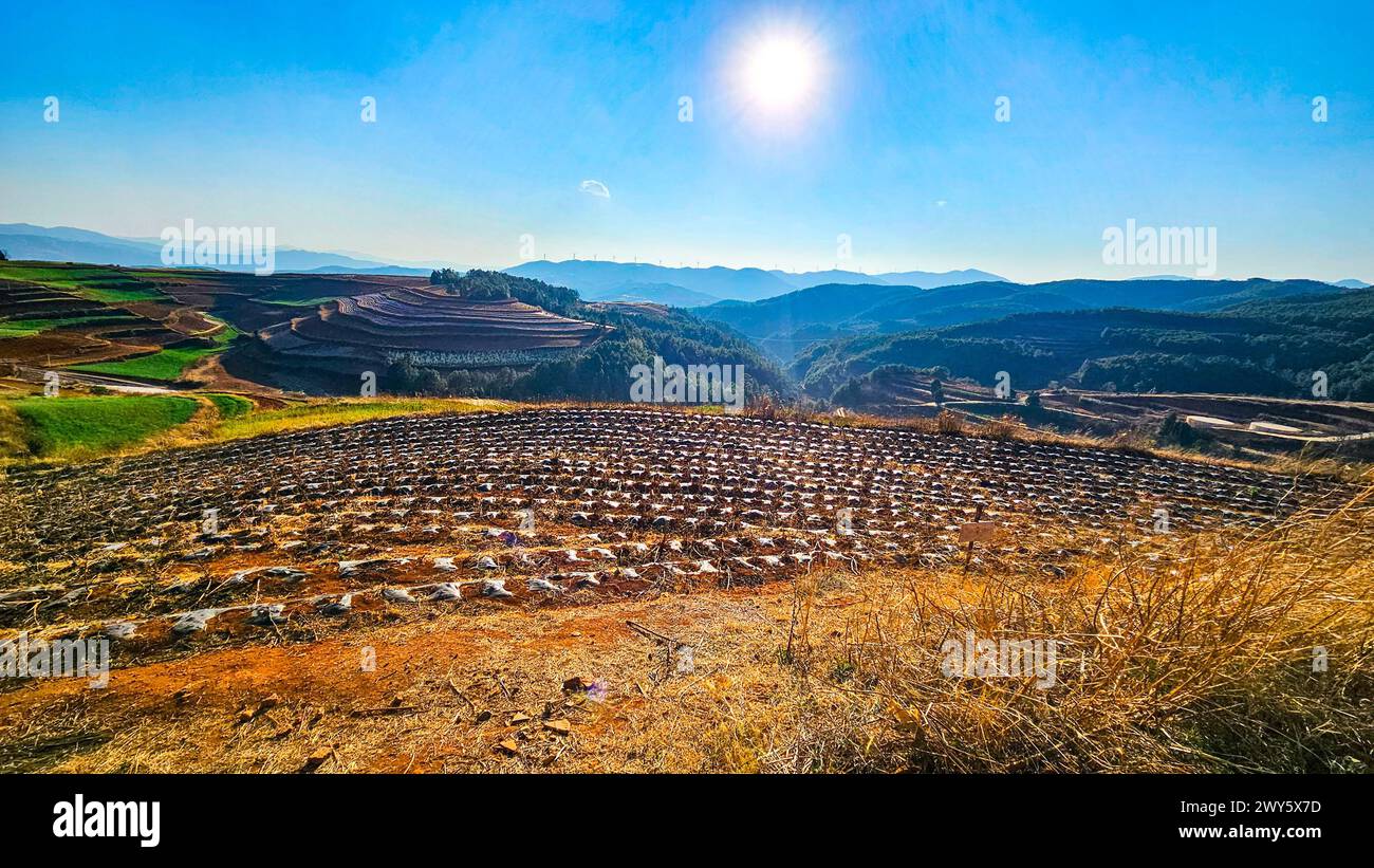 An empty rural field with crop rows and rolling hills in Yuepuao ...