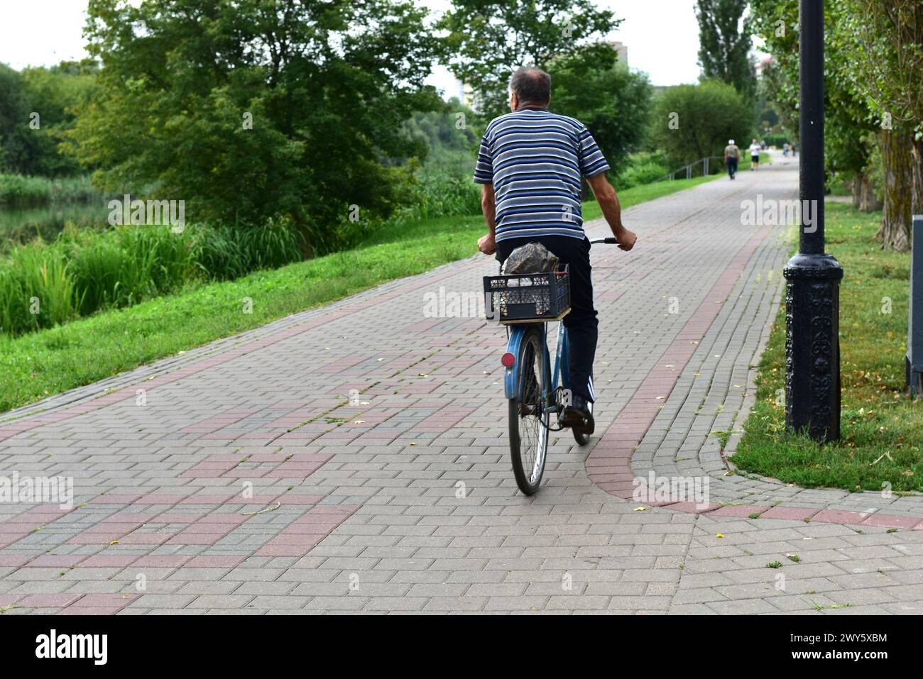 The picture shows an elderly man riding a bicycle along a park path ...