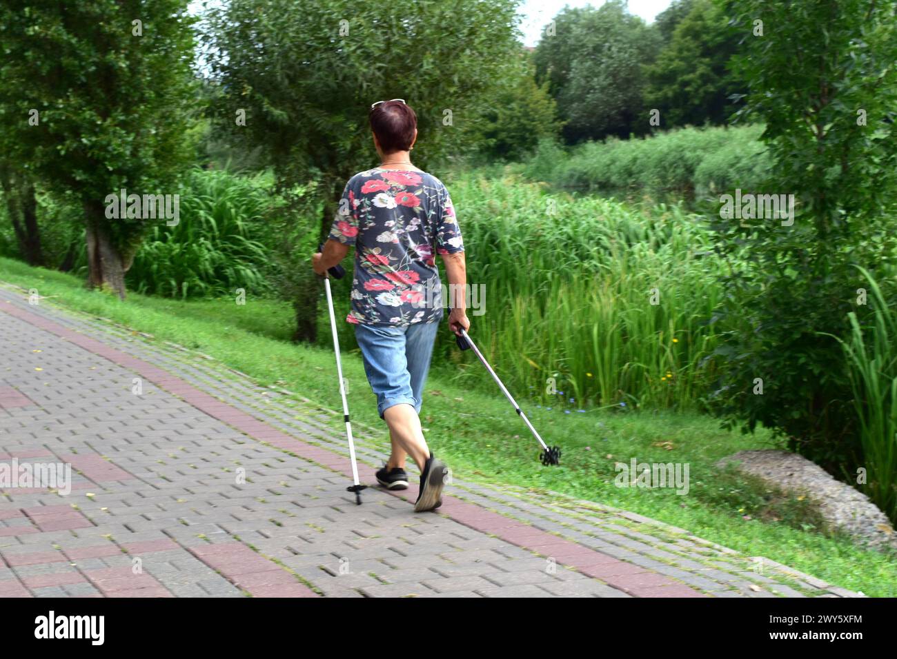 The picture shows an older lady doing sports walking with sticks in her ...