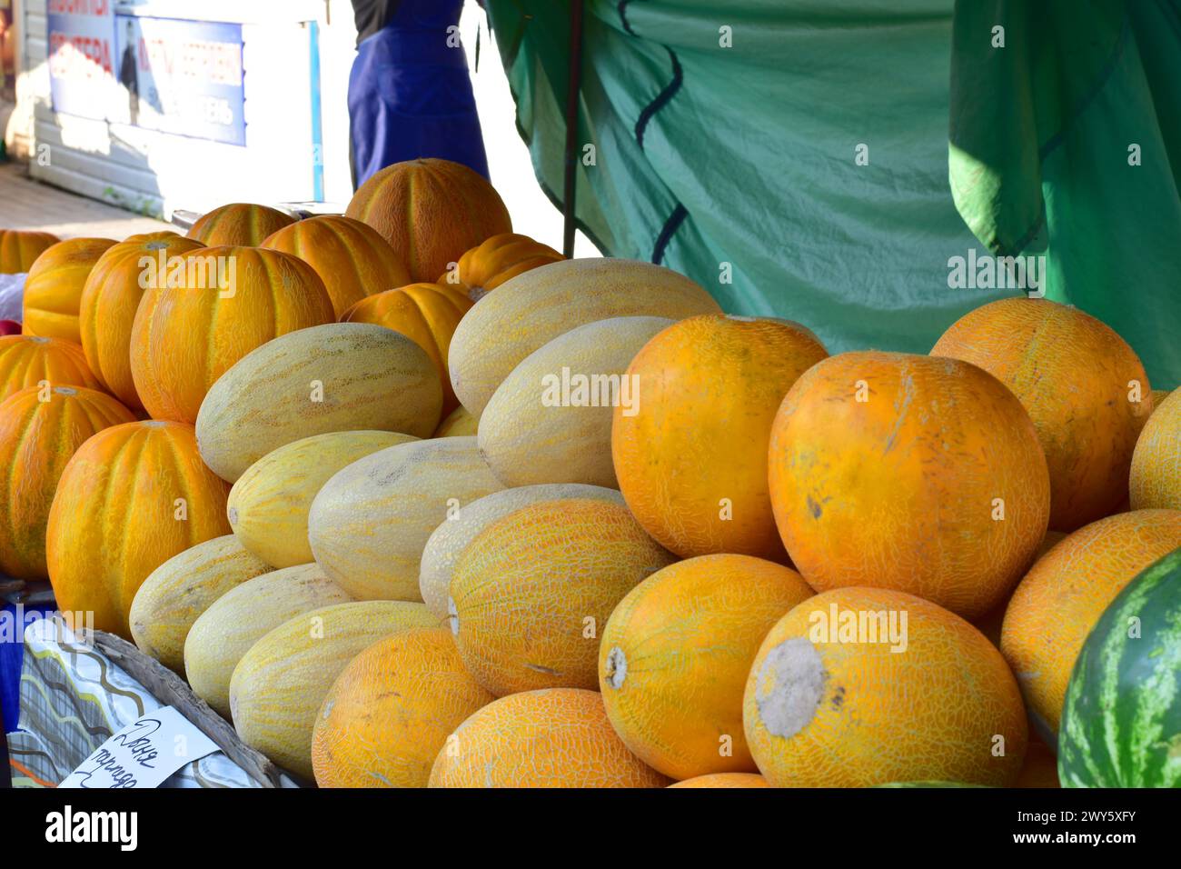 Lying on shelves hi-res stock photography and images - Alamy