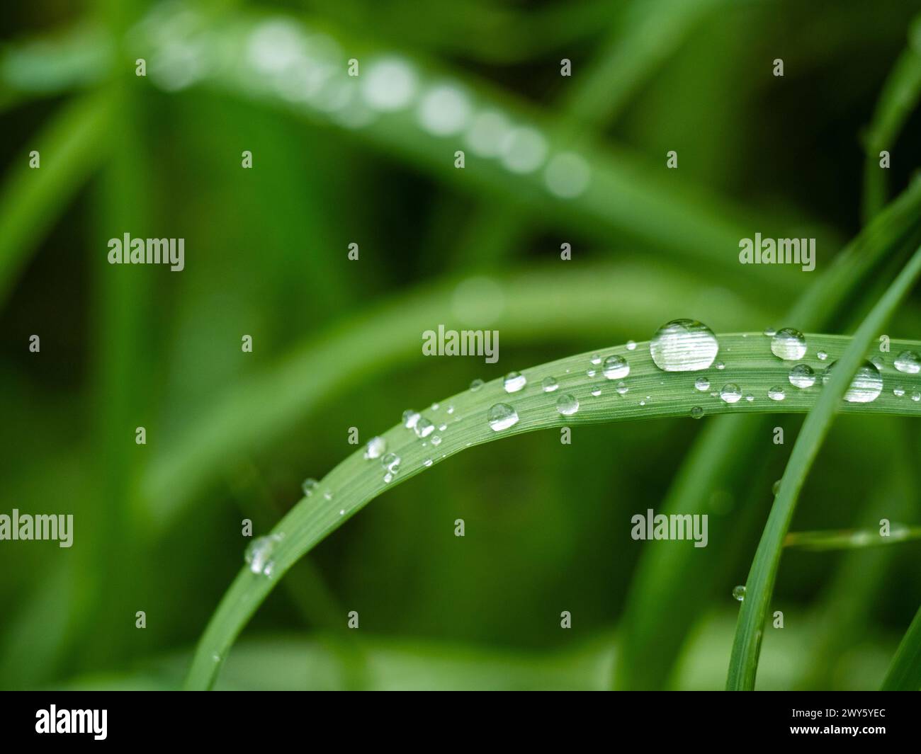 Pearly water hi-res stock photography and images - Alamy