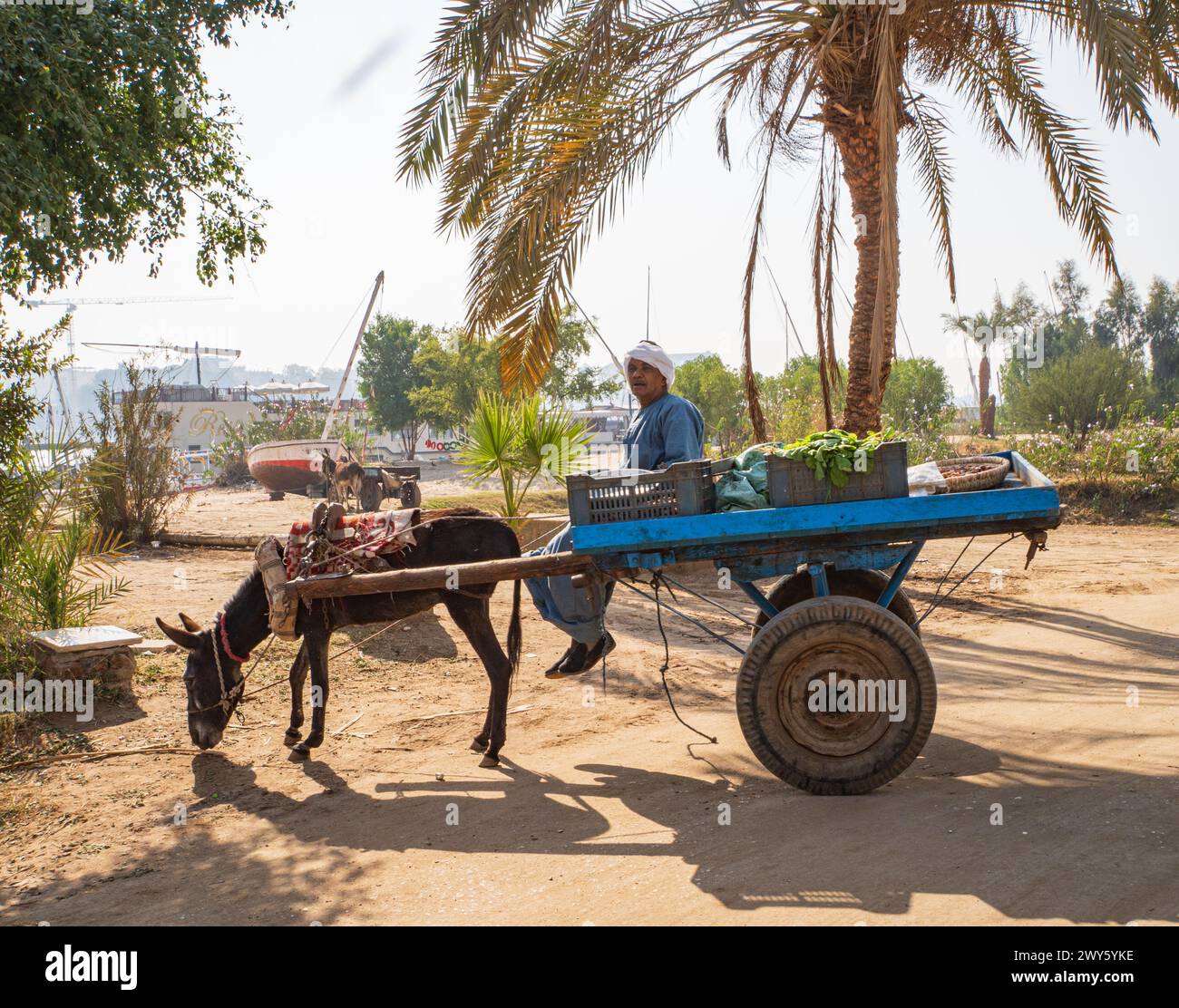 Man pulled cart hi-res stock photography and images - Alamy