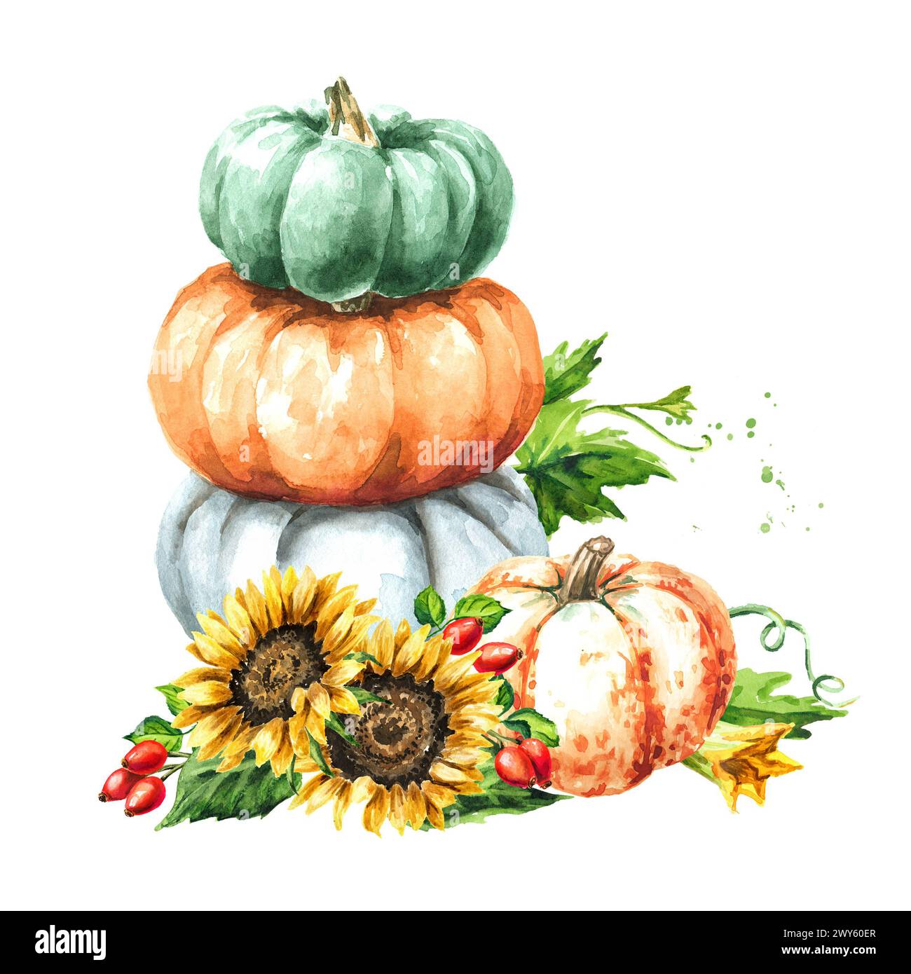 Stack of pumpkins, Hand drawn watercolor illustration isolated on white ...