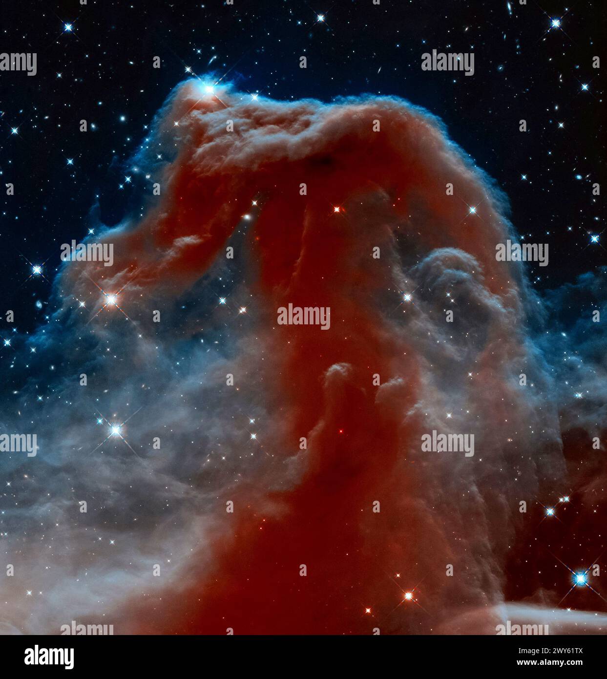 Horsehead Nebula. Digital enhancement of an image by NASA Stock Photo - Alamy
