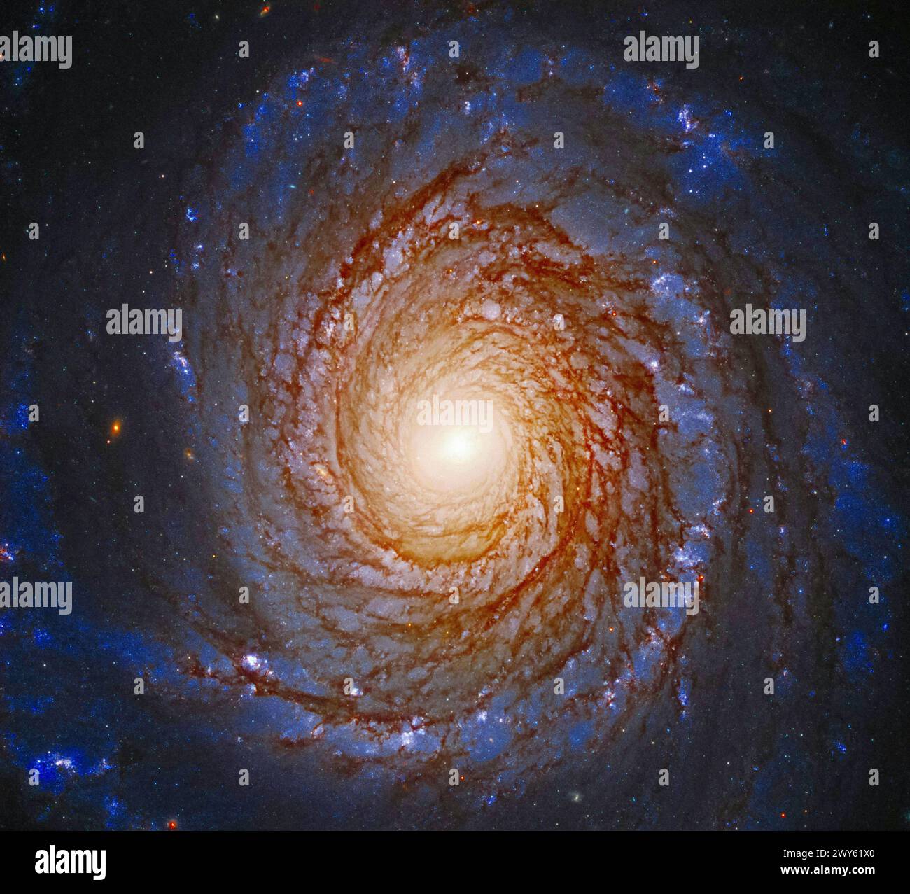 Galaxy with a spiral shape. Digital enhancement of an image by NASA ...