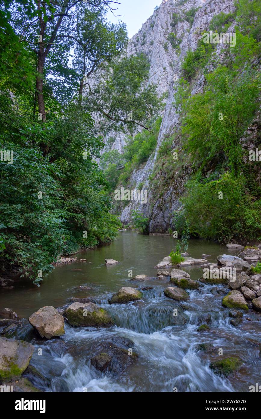 Summer morning at Turda gorge in Romania Stock Photo - Alamy