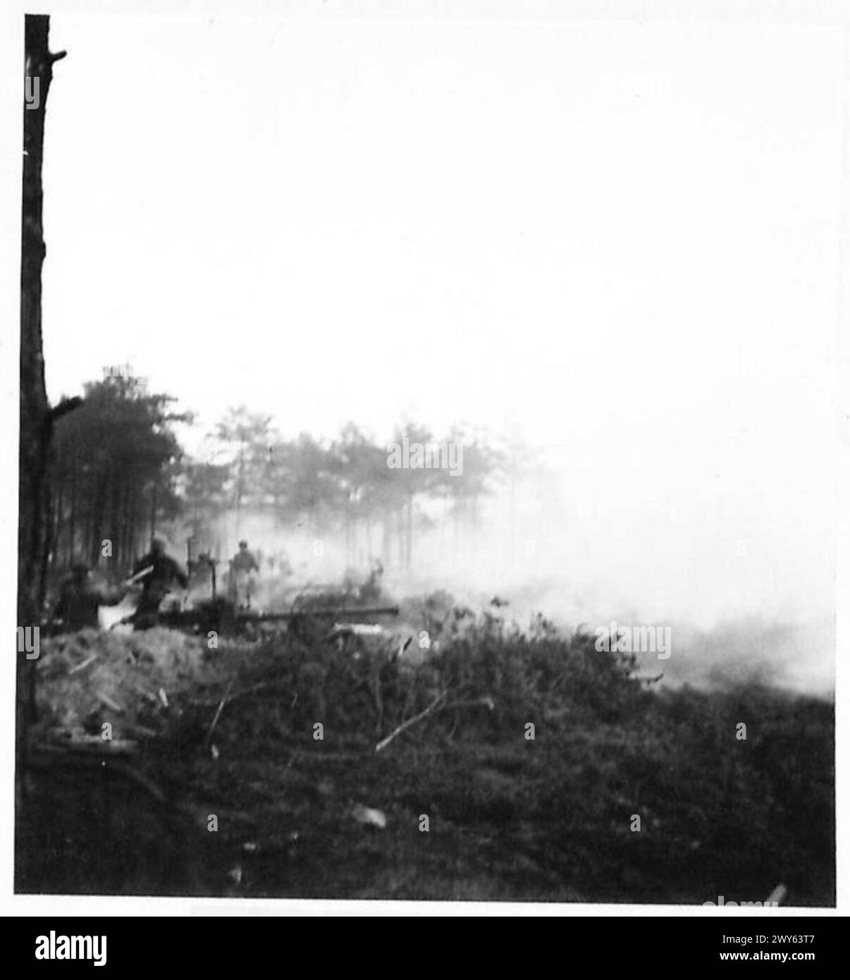 THE NEW OFFENSIVE ON THE WESTERN FRONT [continued] - Bofors guns of the ...