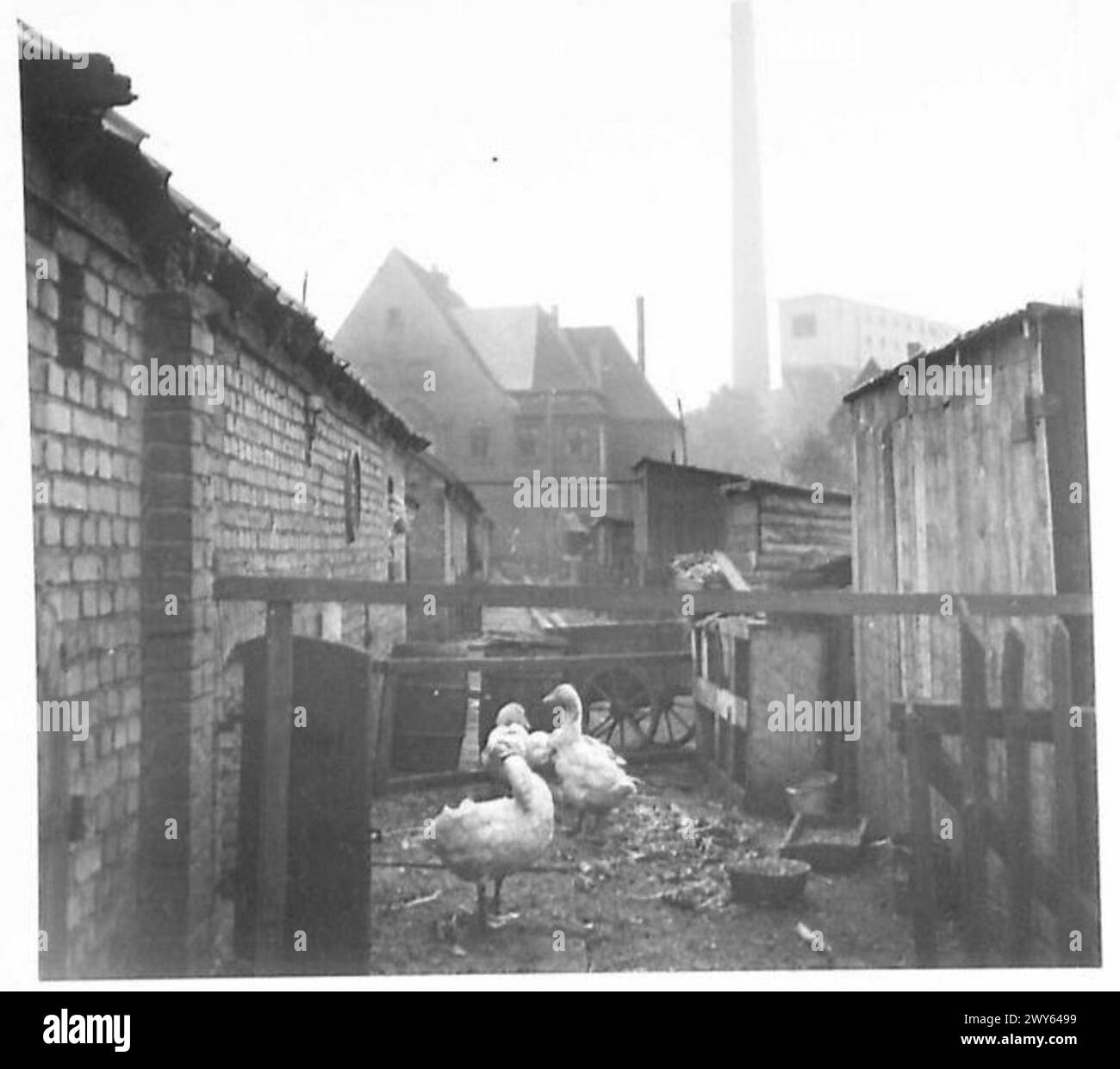 Backyard view of a miner's house on the Graft Bismark Mine Estate under ...