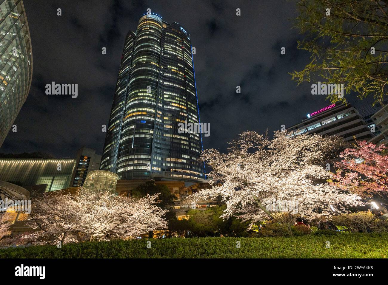 Tokyo, Japan. 4th Apr, 2024. Members of the public enjoy the view of ...