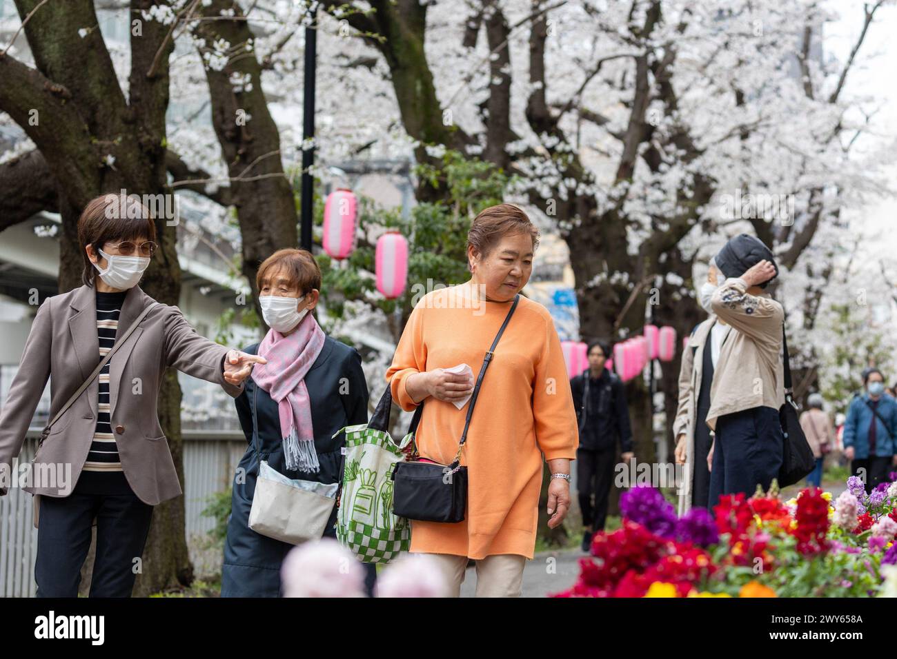 Tokyo, Japan. 4th Apr, 2024. Members of the public enjoy the view of ...